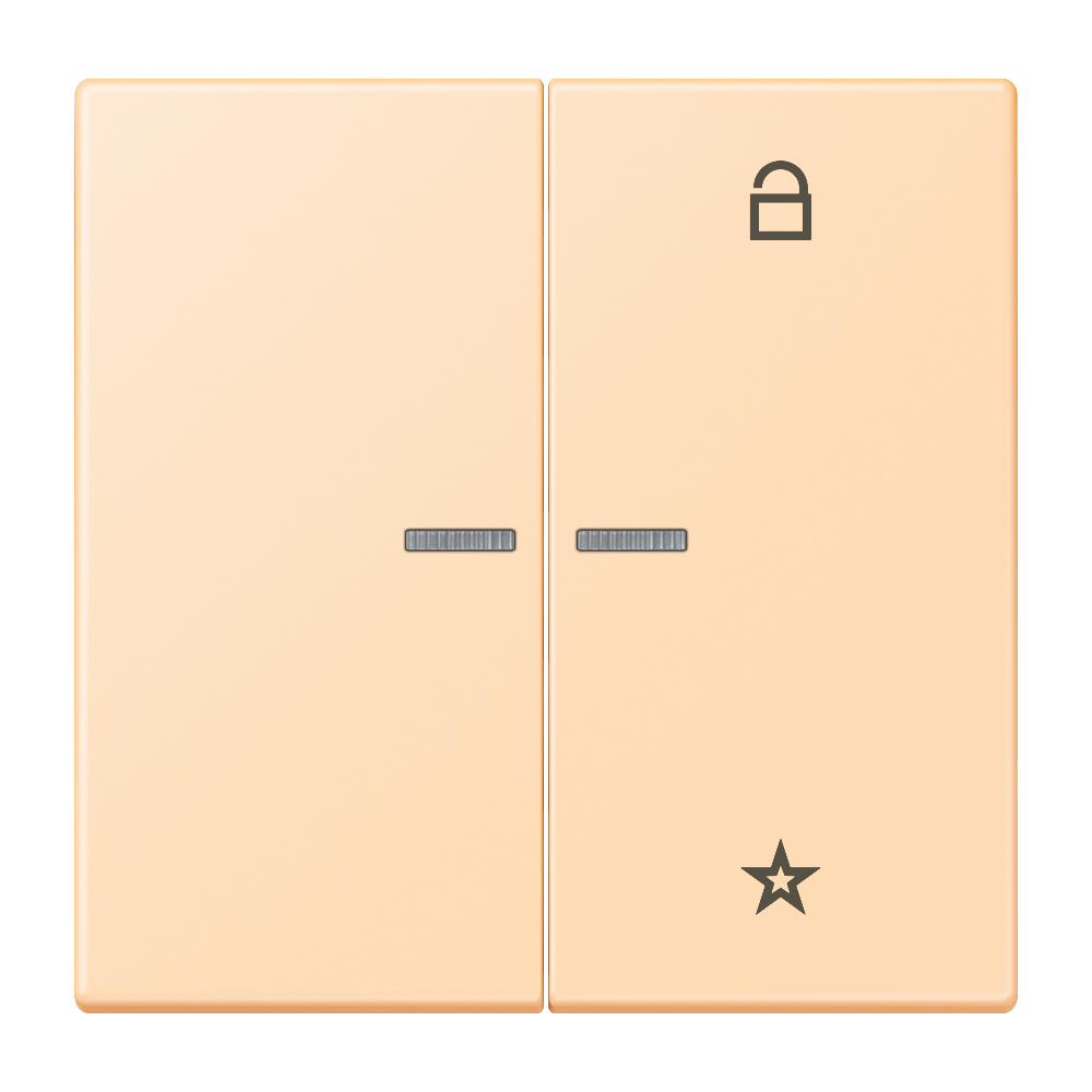 eNet push-button universal 2-gang, with lens, ocre (32060) | FM LC 1701 223
