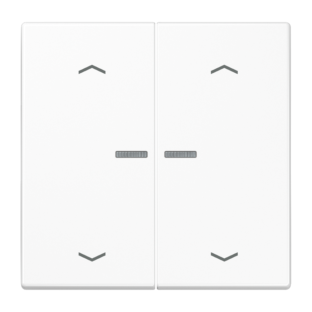 Rocker for KNX push-button 2-gang, F10, white | LS 102 KO5P WW