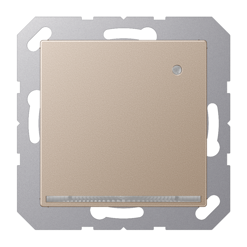 LED floor pilot light with integrated brightness sensor, champagne | A ...