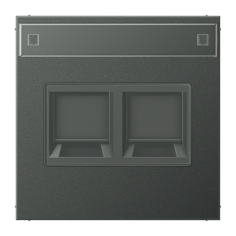 Centre plate (snap-on fixing) for modular jack sockets, 2-gang, with ...